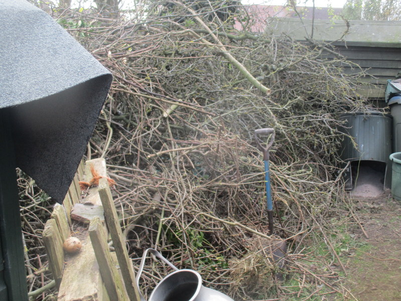 'Higher Planes --- ' — Free-Range Living